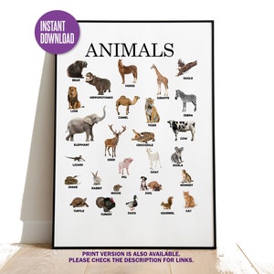 Instant Download | Printable Animals Educational Poster | Montessori ...