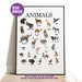 Instant Download | Printable Animals Educational Poster | Montessori ...