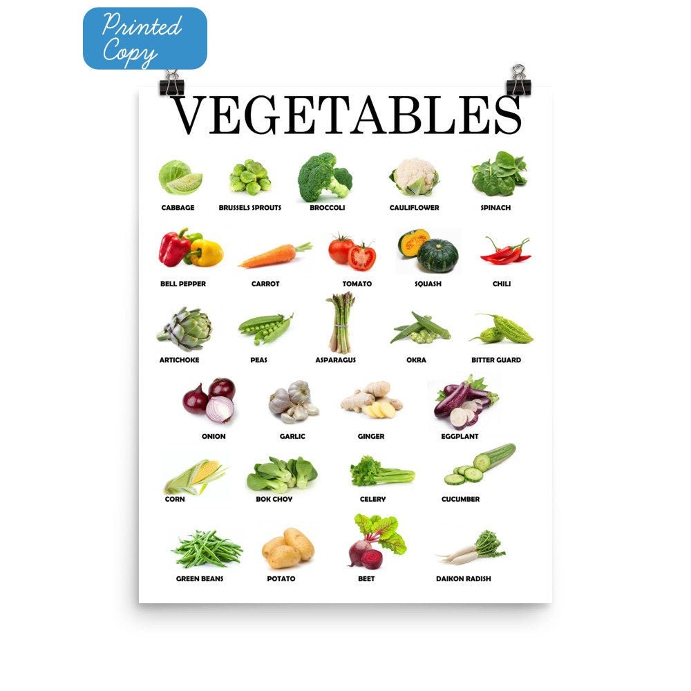 Print | Vegetable Poster Using Actual Examples | Montessori - Etsy