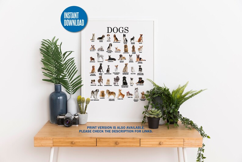 Instant Download | Printable Popular Dog Breeds | Montessori | Waldorf ...