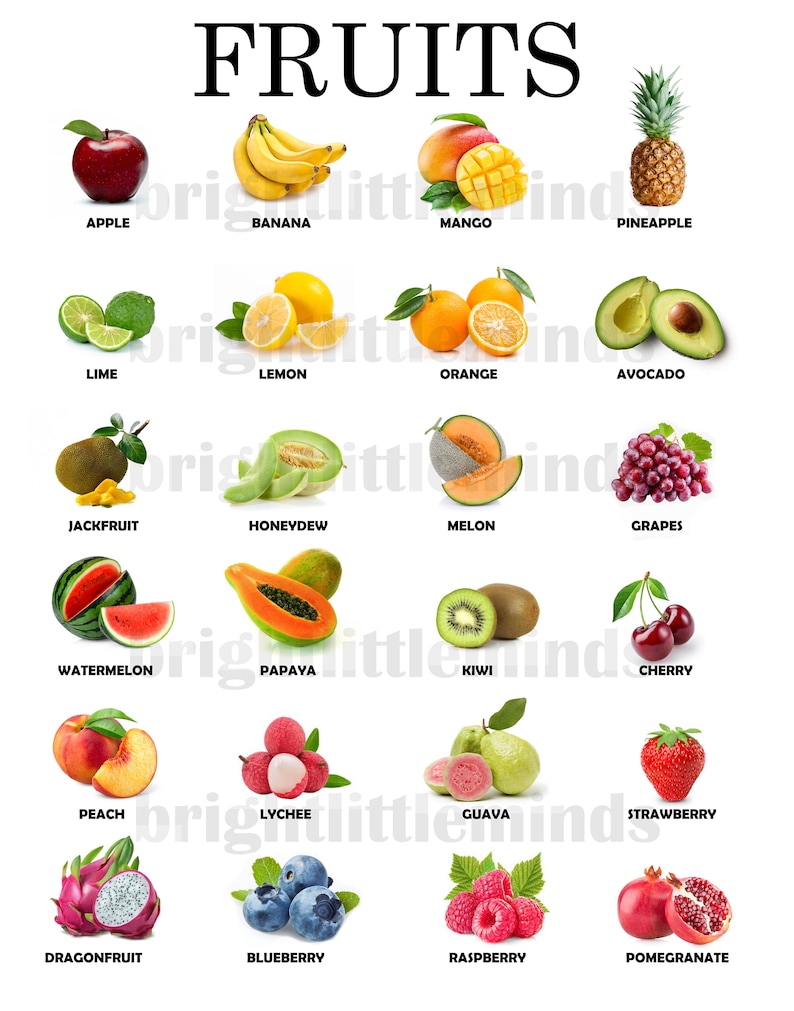 Instant Download Bundle Printable Fruits and Vegetables Educational ...