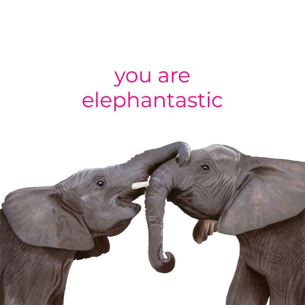 Elephant Cards - Etsy
