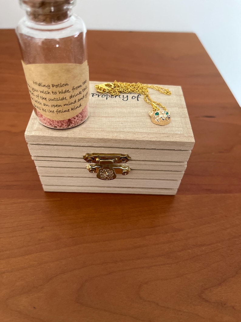 Scaredy Cat Amulet and Potion - Etsy