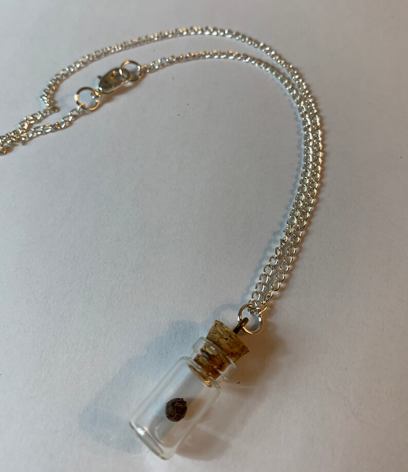 Just Add Magic Charm Bracelet or Necklace - Etsy Israel