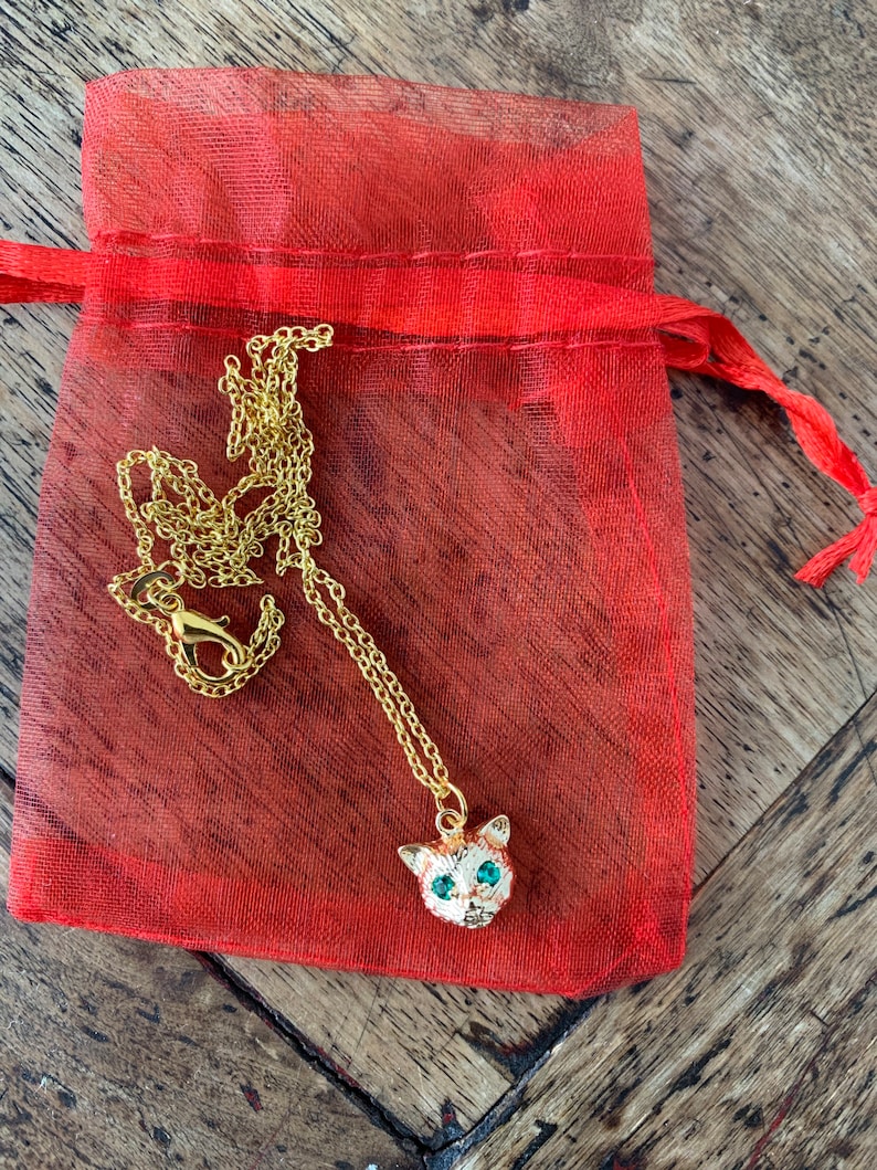 Scaredy Cat Amulet and Potion - Etsy