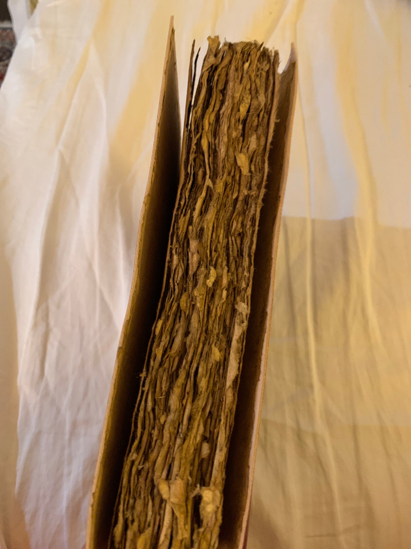 Just Add Magic Cookbook - Etsy