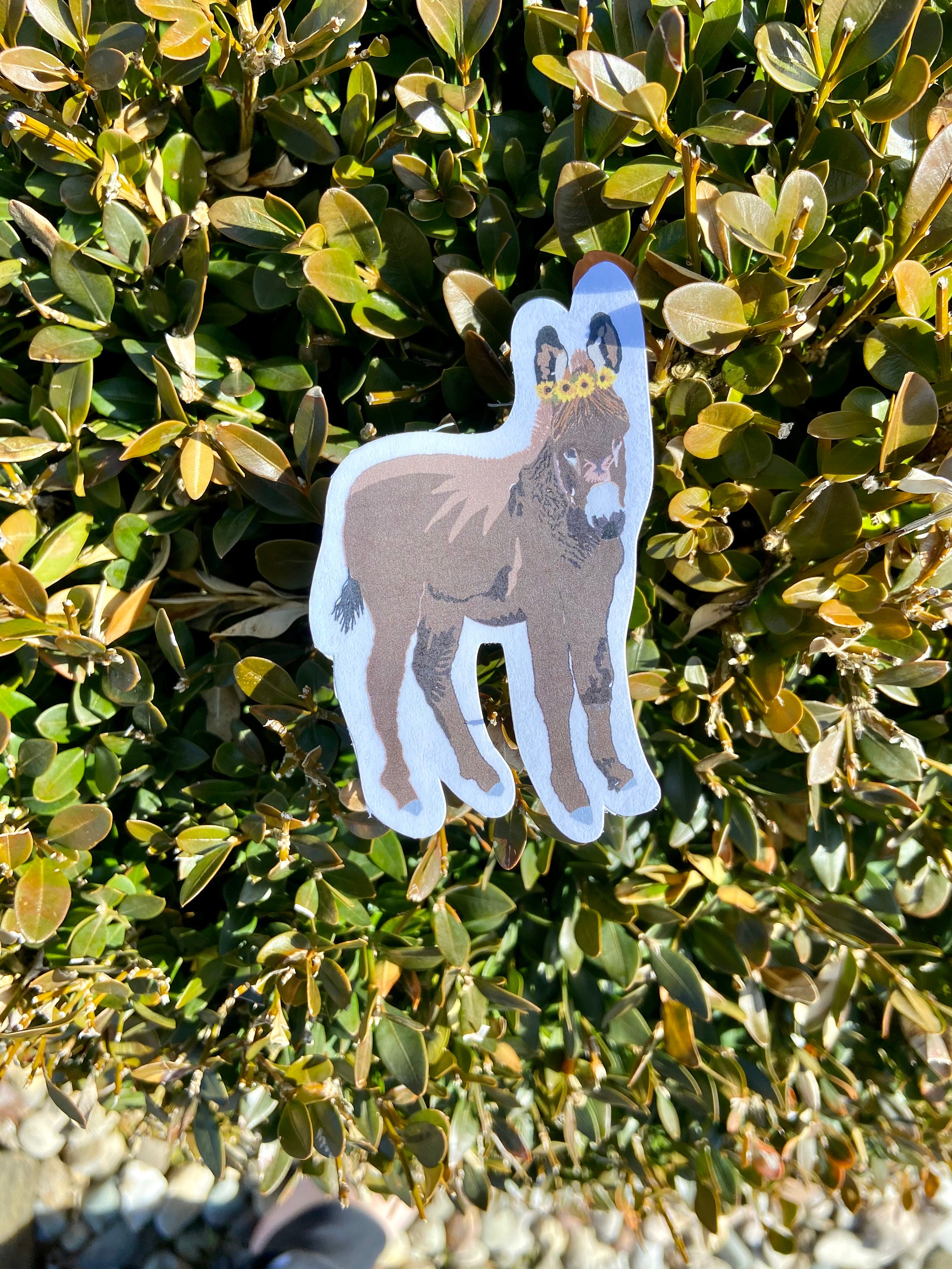 Farm Animal Stickers Farm Animal Bundle Sticker Pack - Etsy