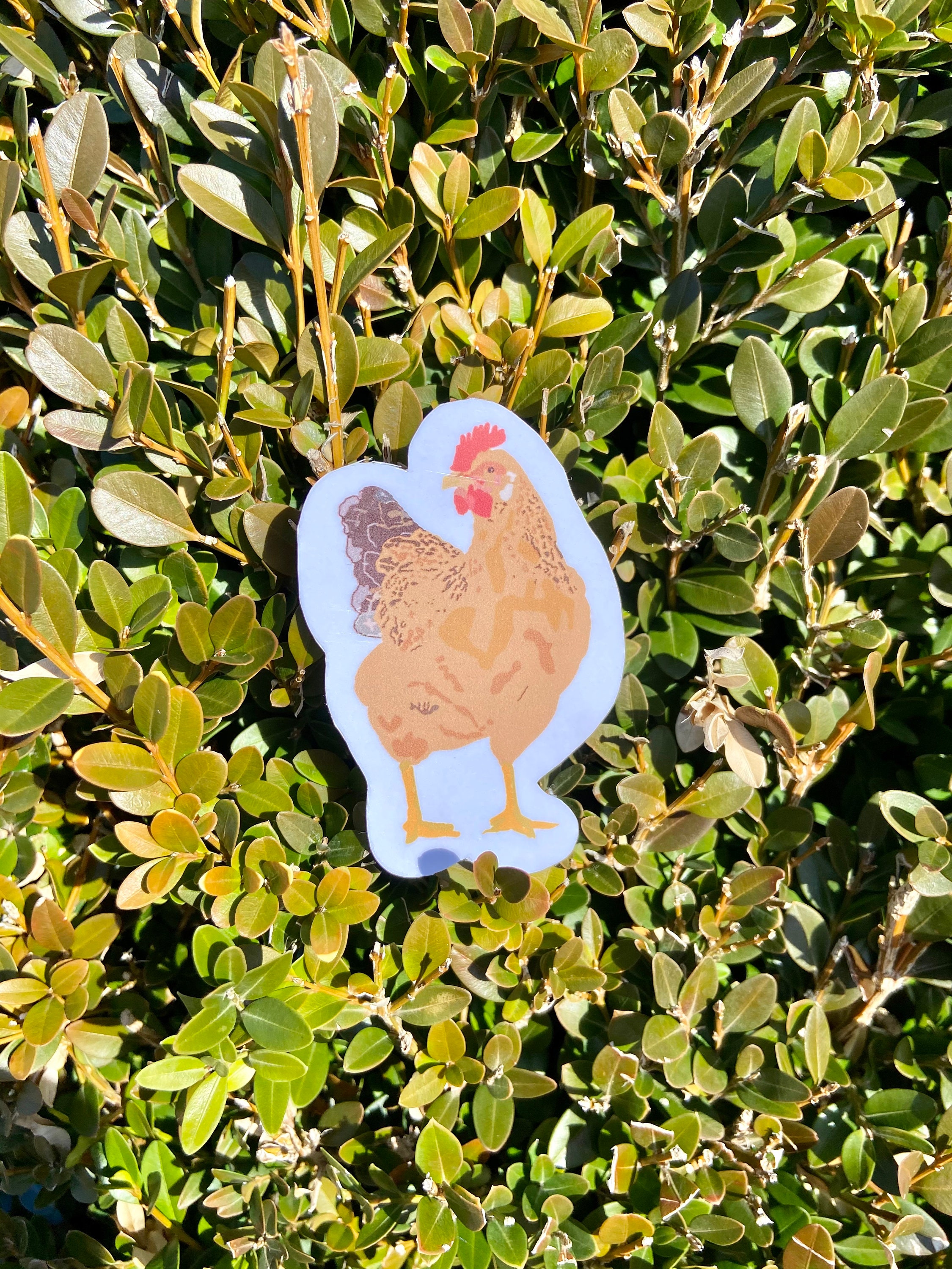 Farm Animal Stickers Farm Animal Bundle Sticker Pack - Etsy