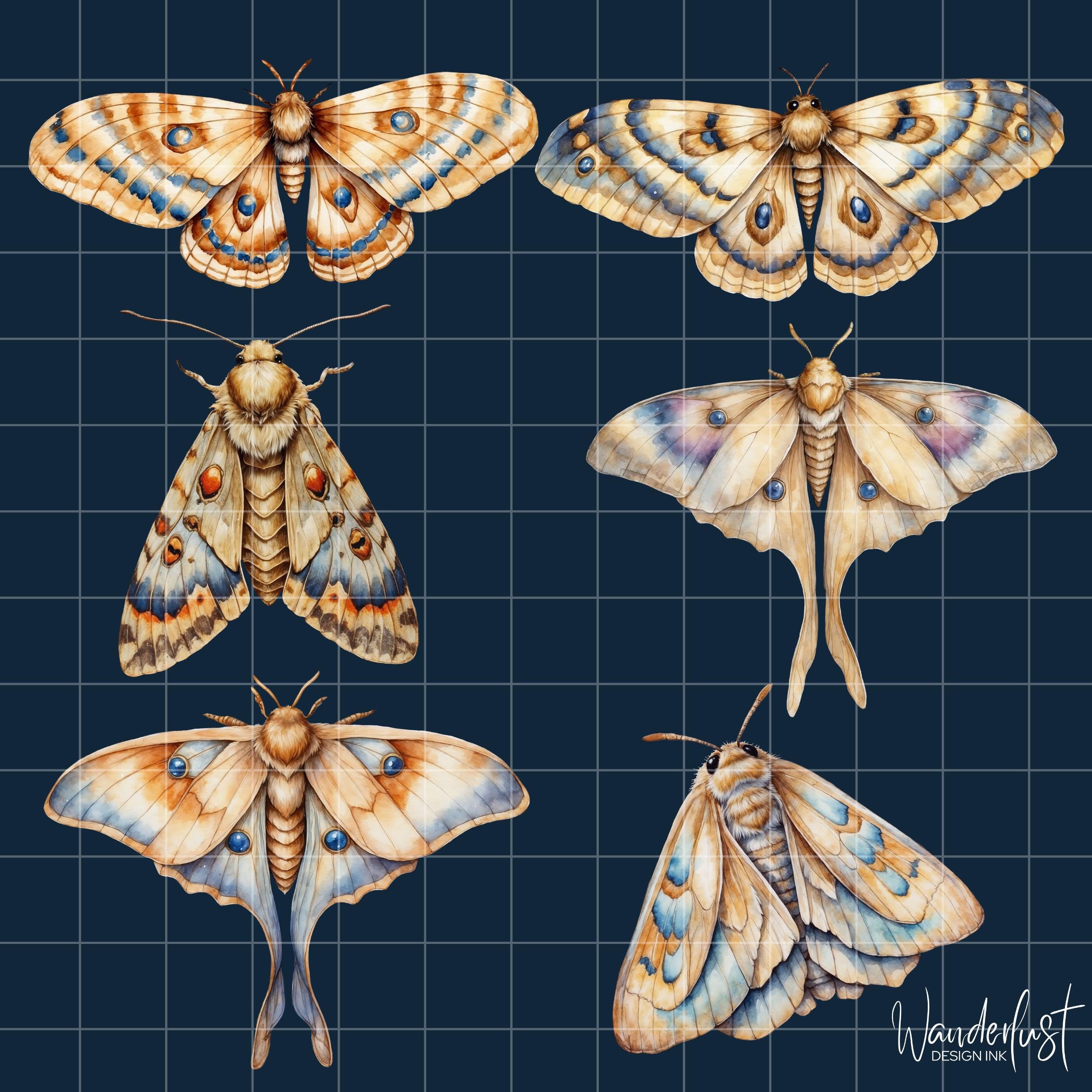 Watercolor Mystical Moth Clipart, Forest Nature Clip Art Set, Cosmic ...