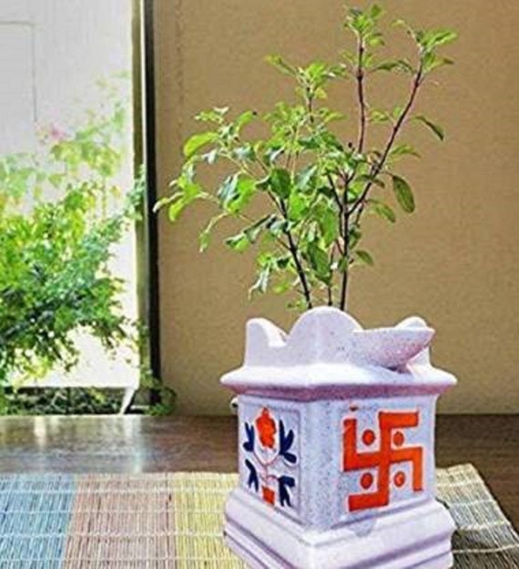 Tulsi Plant Pot Designs