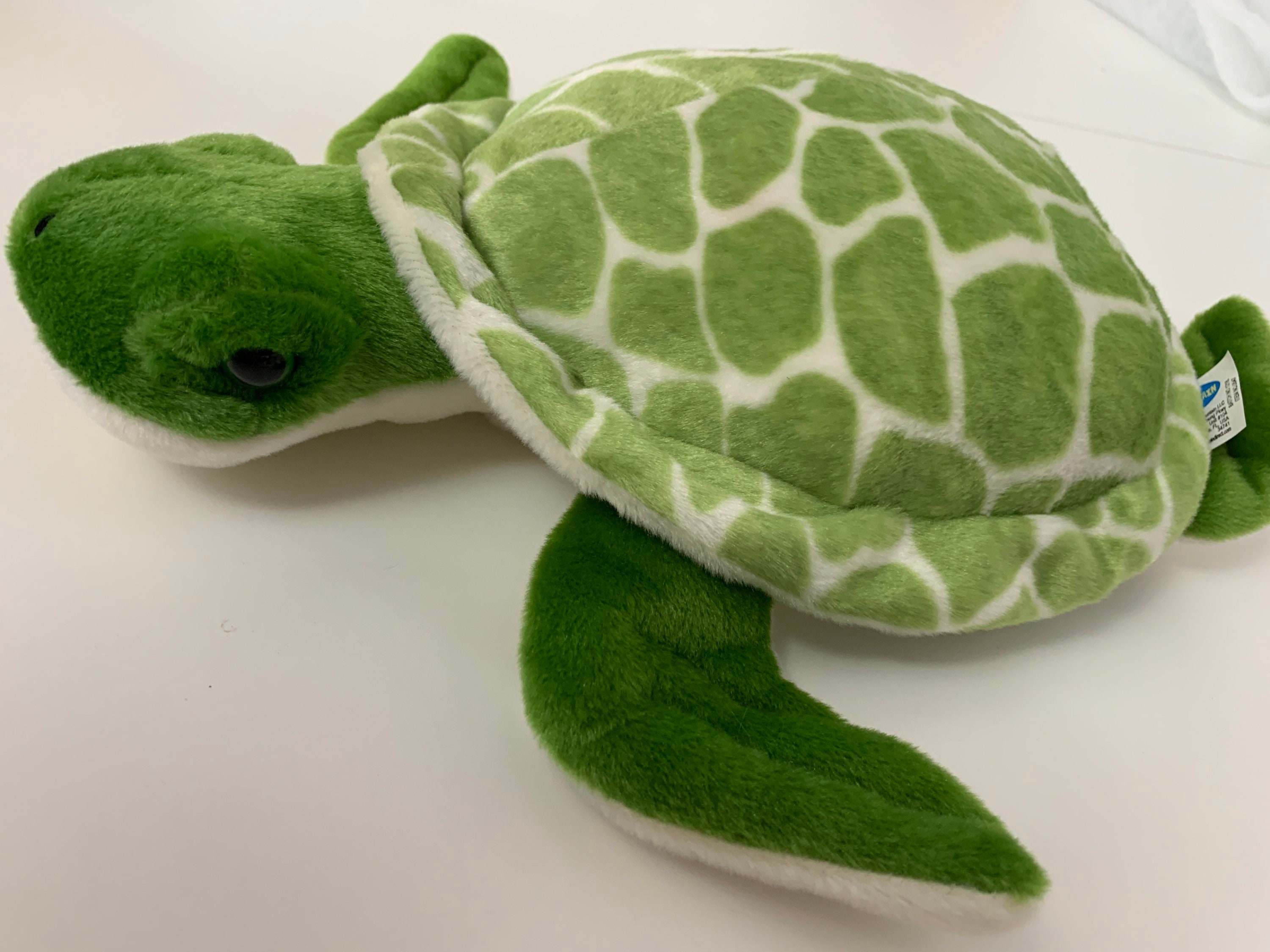 Weighted Turtle 16 Sensory Weighted Soft Animal Suitable for - Etsy