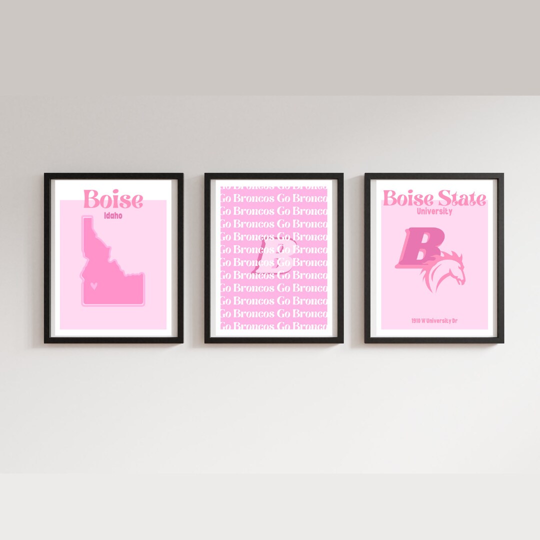 Boise State University Posters, Pack of 3, Boise Broncos, Pink ...