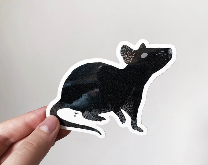 Black Rat Vinyl Sticker - Etsy