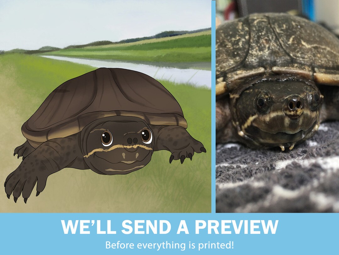 Custom Turtle Art Reptile Personalised Turtle Animal Portrait - Etsy