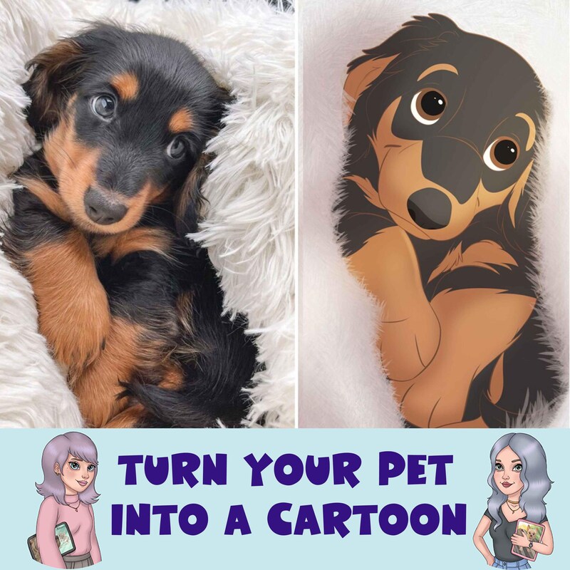 Pet Disneyfication - Etsy