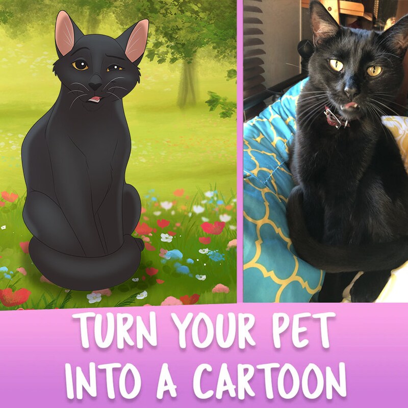 Pet Disneyfication - Etsy