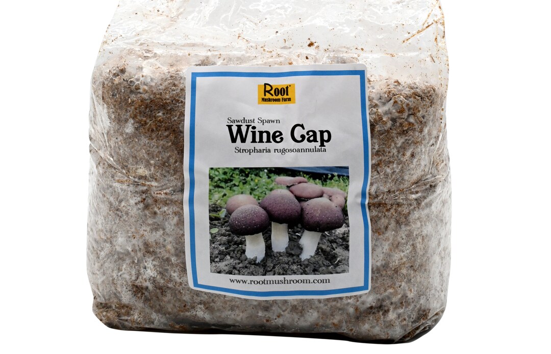 Wine Cap Sawdust Spawn-5.5pounds - Etsy