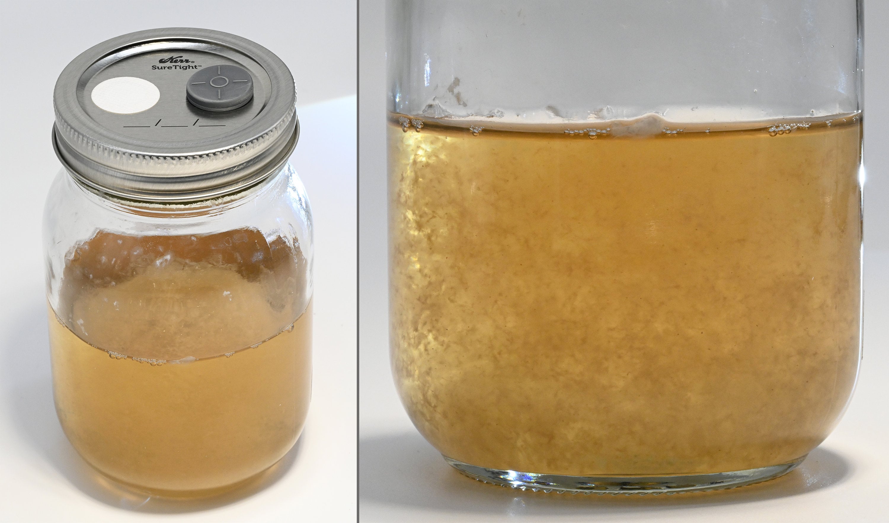 Mycelium Boost Solution Kit/mushroom Liquid Culture Solution/new Launch ...