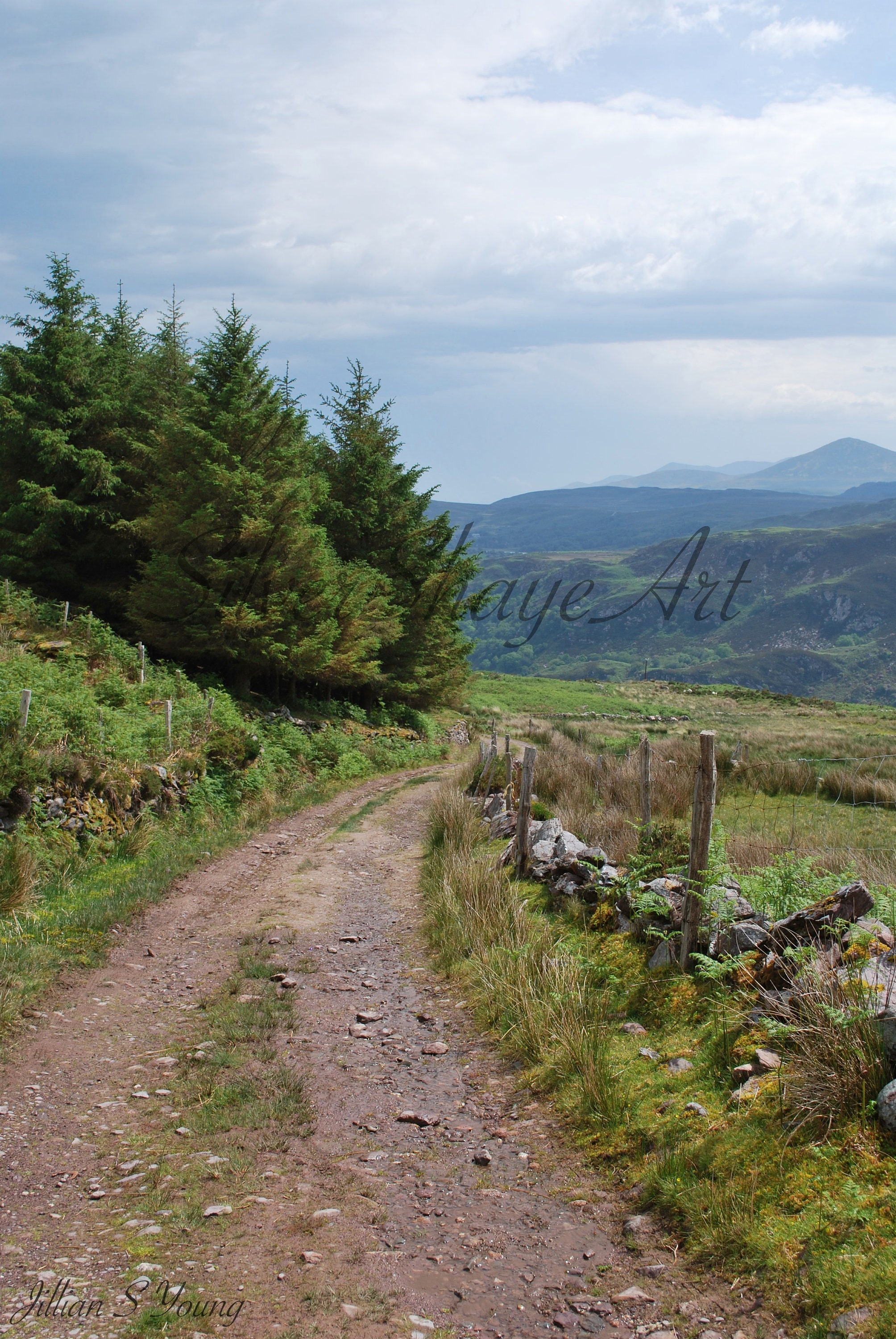 Mountain Road, Mountains, Trees, Landscape Photography, Road ...