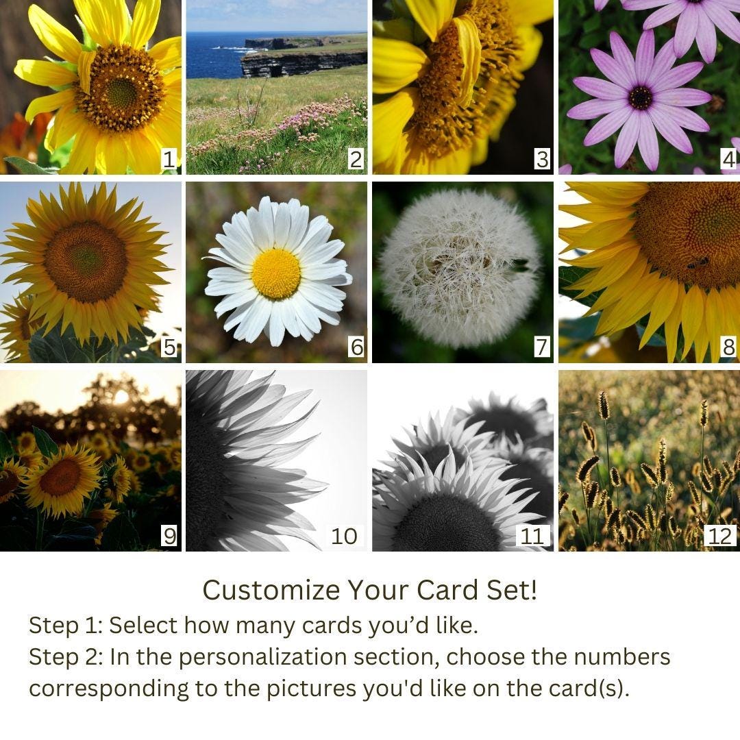 Nature Note Cards, Homemade Photo Cards, Note Cards, Blank Cards ...