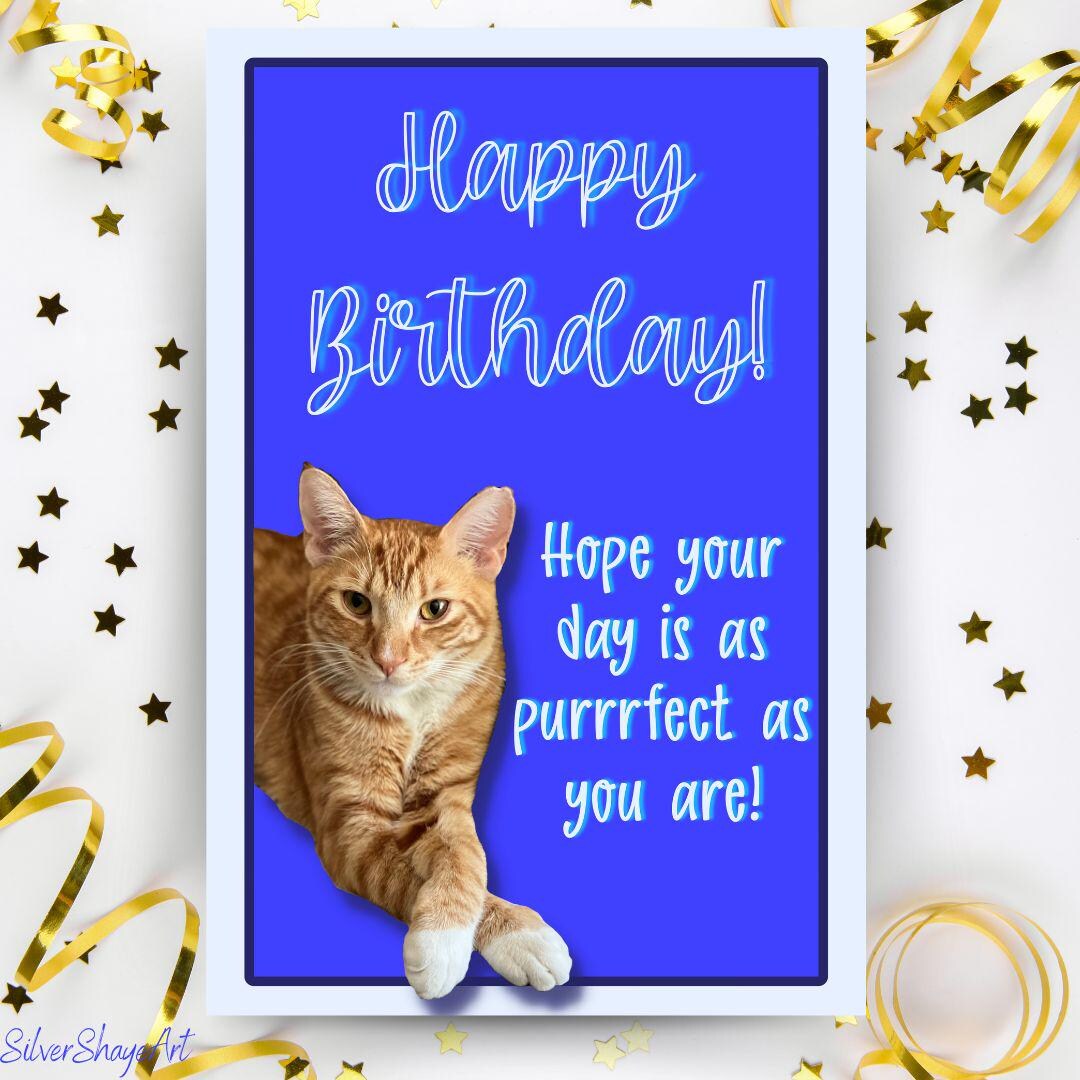 Handmade Cat Birthday Card – Cute Photo Greeting, Blank Inside, Perfect ...