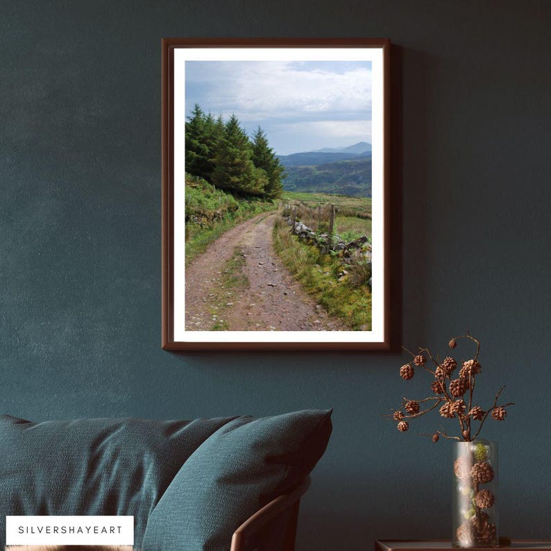 Mountain Road, Mountains, Trees, Landscape Photography, Road ...