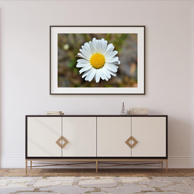 Daisy Delite, Flowers, Flower Photography, Floral, Summer, Spring, Wall ...