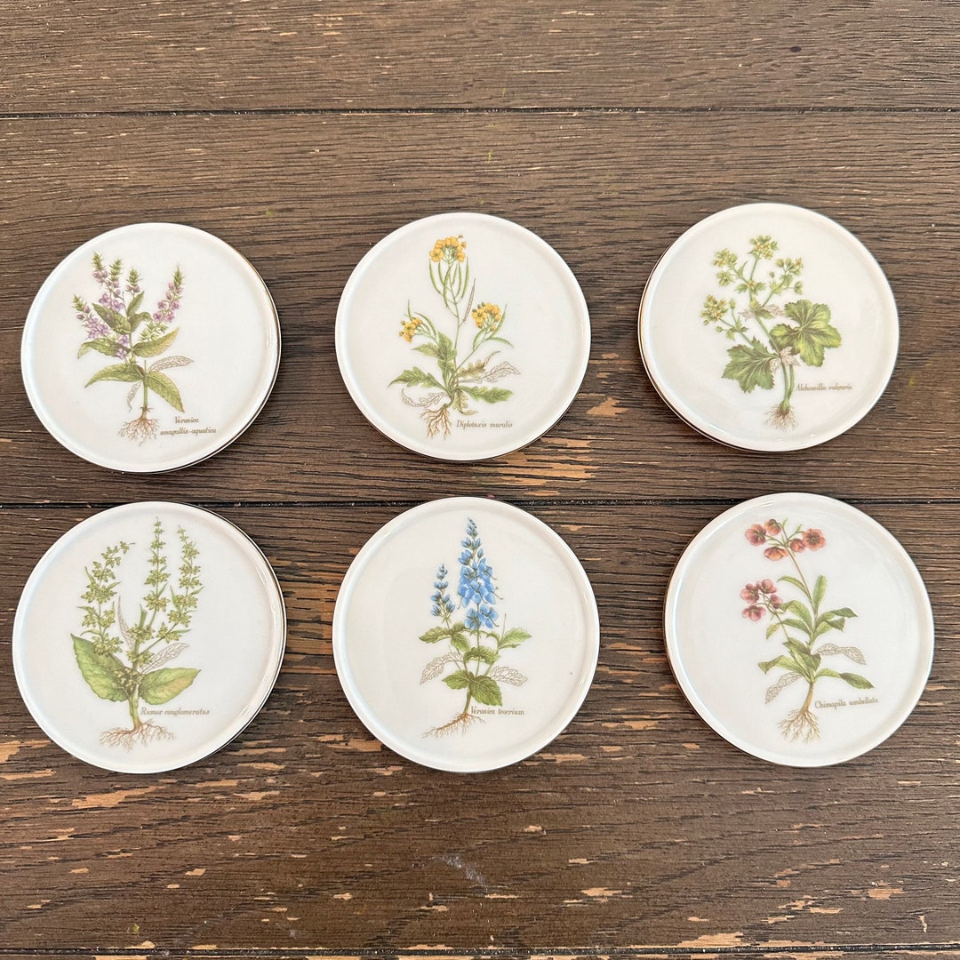 Andrea by Sadek Vintage Round Floral 3 Porcelain Coasters Scientific ...