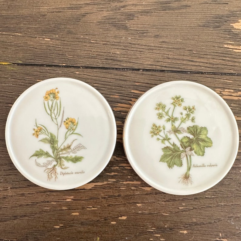 Andrea by Sadek Vintage Round Floral 3 Porcelain Coasters Scientific ...