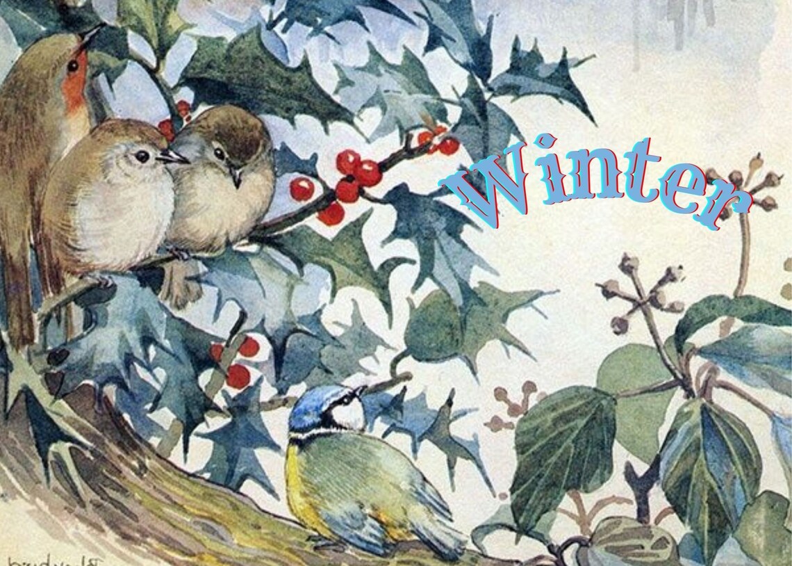 Edith Holden Junk Journal the Four Seasons Digital Kit Vintage ...