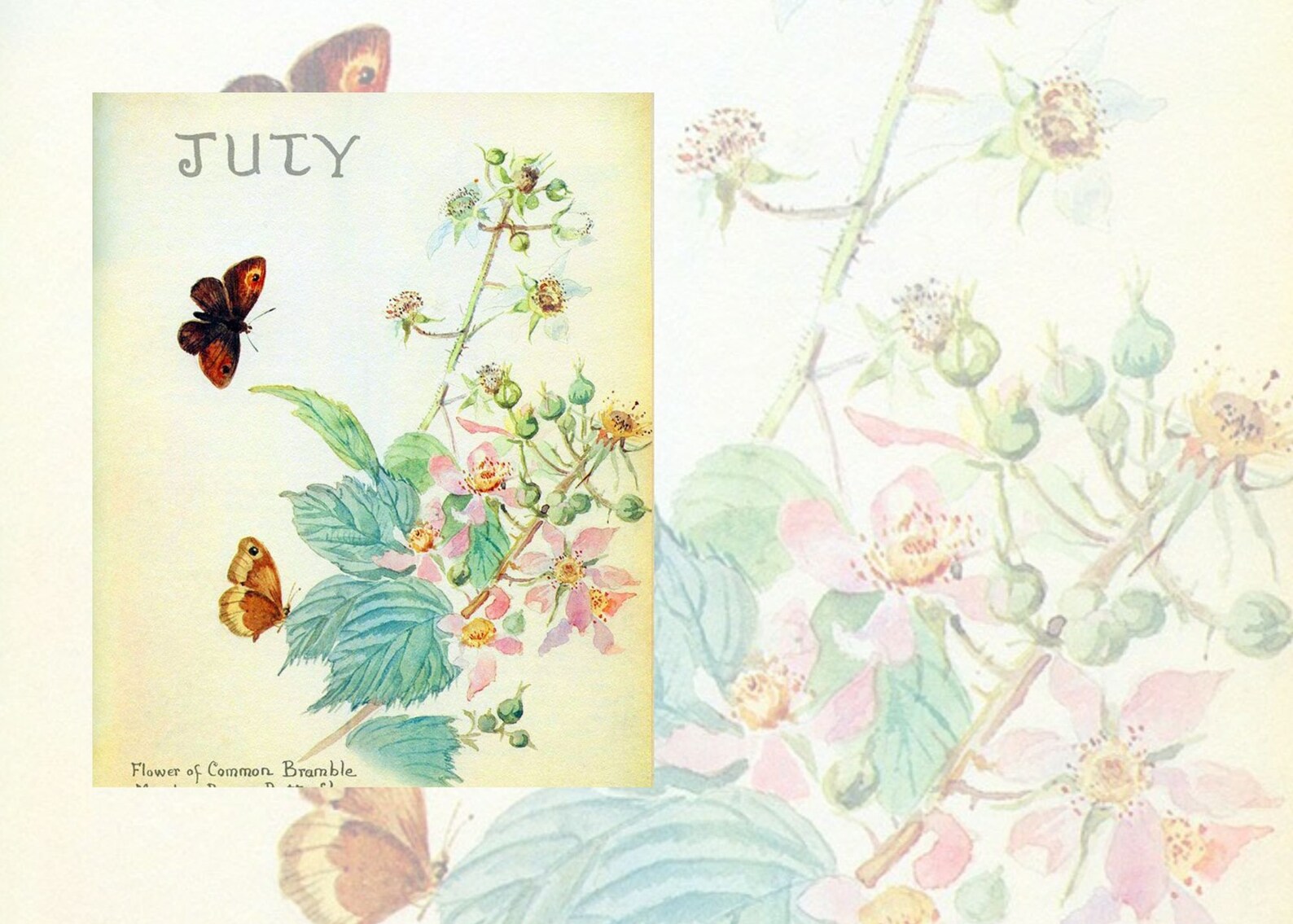 Edith Holden Junk Journal the Four Seasons Digital Kit Vintage ...