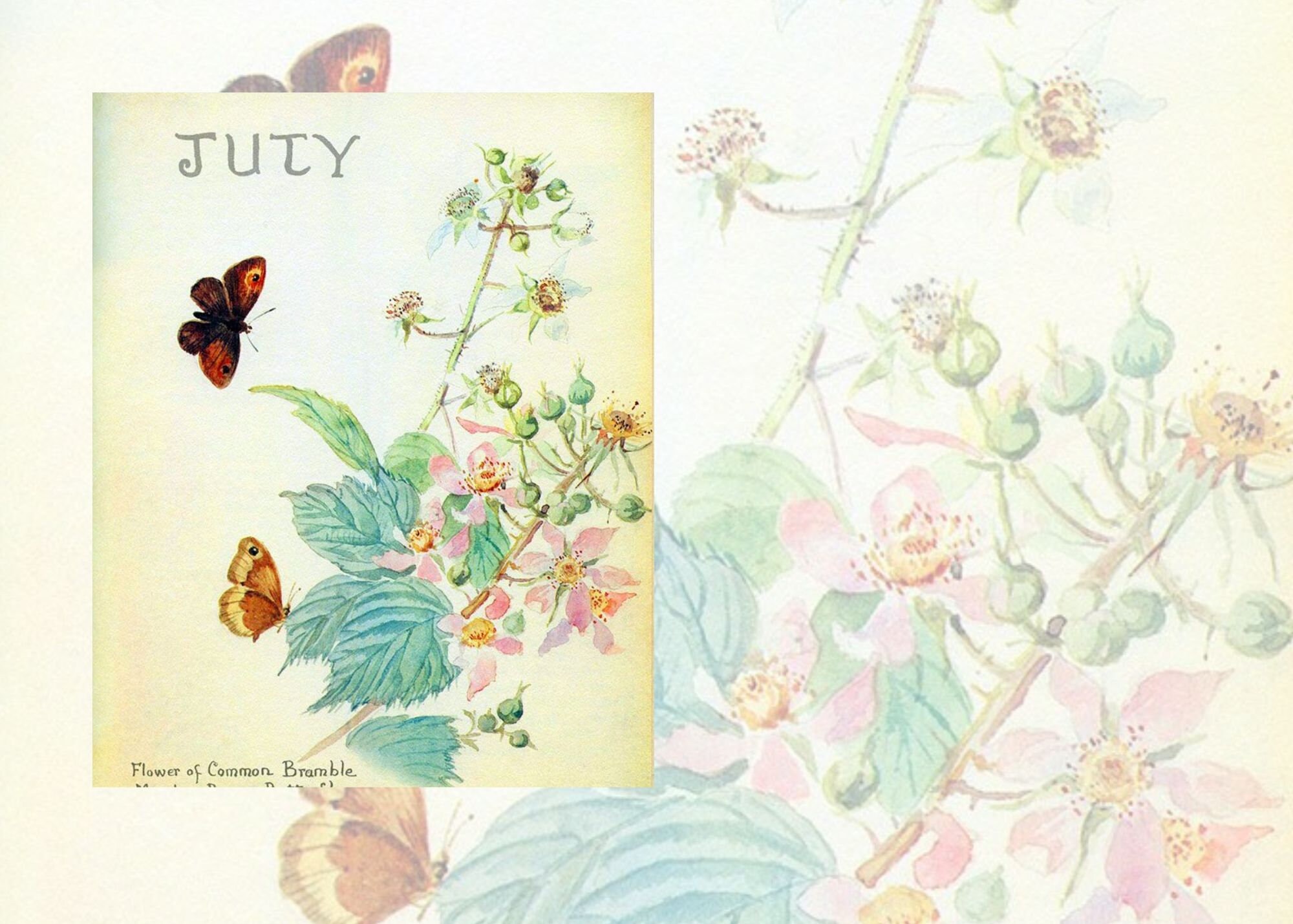 Edith Holden Junk Journal the Four Seasons Digital Kit Vintage ...