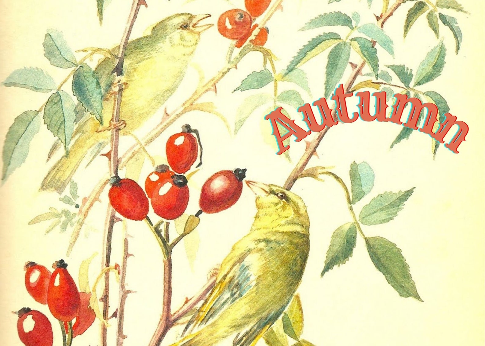 Edith Holden Junk Journal the Four Seasons Digital Kit Vintage ...