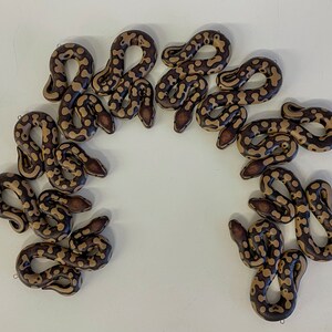 Ball Python Snake Pendant/sculpture for Necklace/key Ring, Perfect for ...