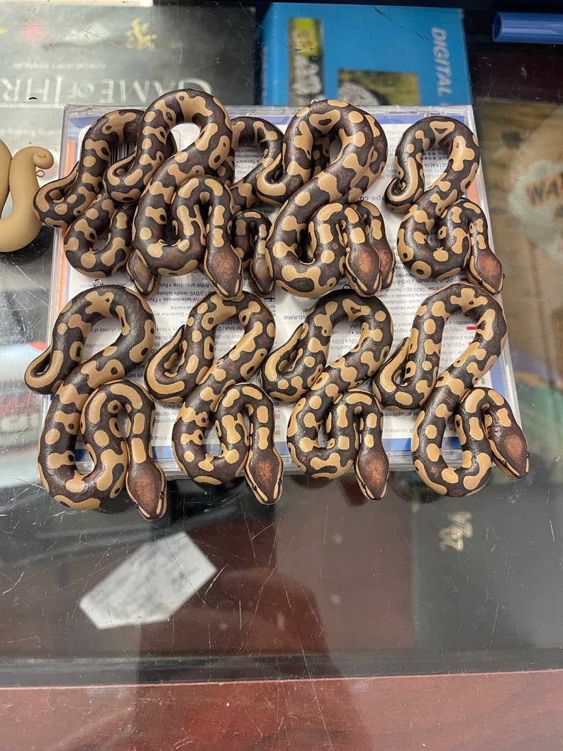 Ball Python Snake Pendant/sculpture for Necklace/key Ring, Perfect for ...