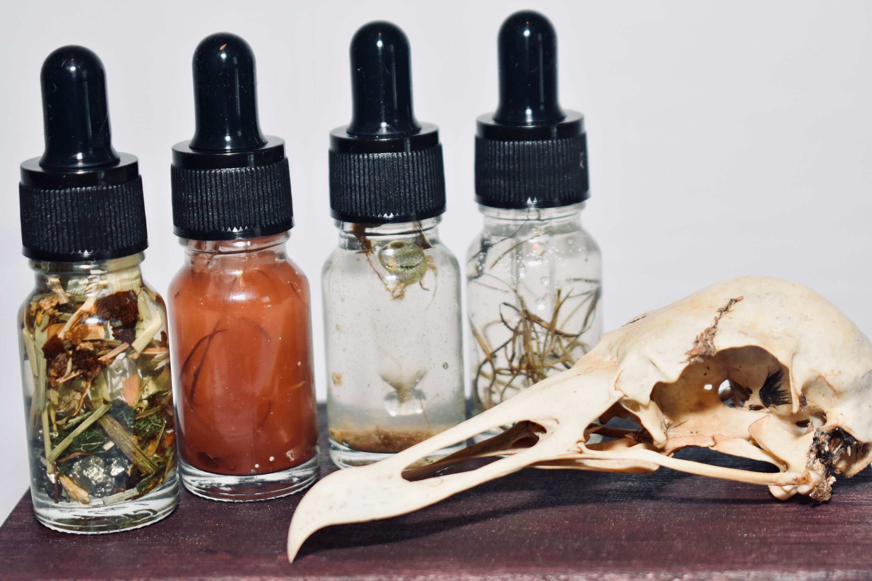 Bayou Witch Starter Set Swamp Witch Witch Set Occult Set | Etsy