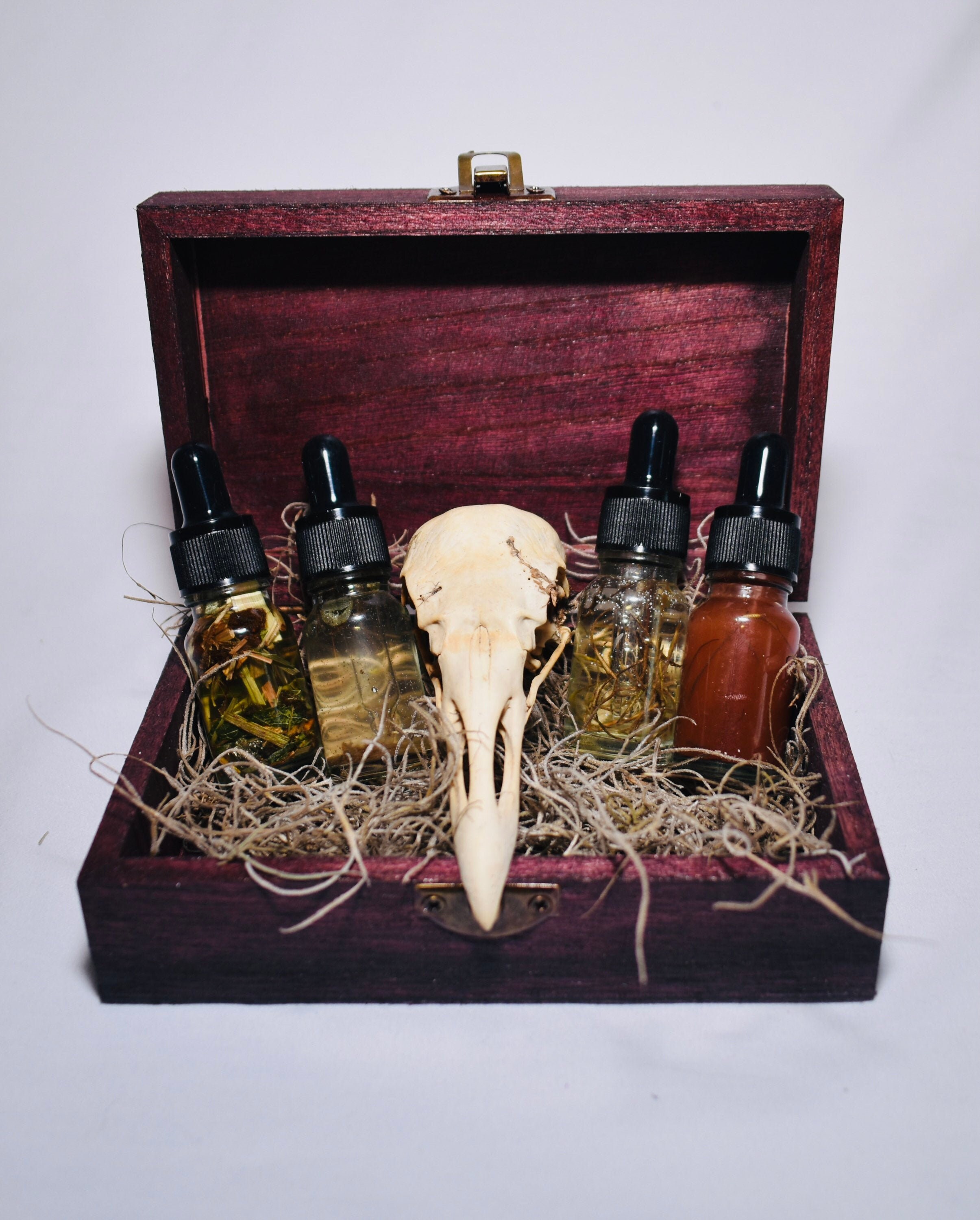 Bayou Witch Starter Set Swamp Witch Witch Set Occult Set | Etsy