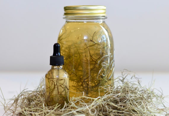 REAL Louisiana Tar Water New Orleans Tar Water Occult | Etsy