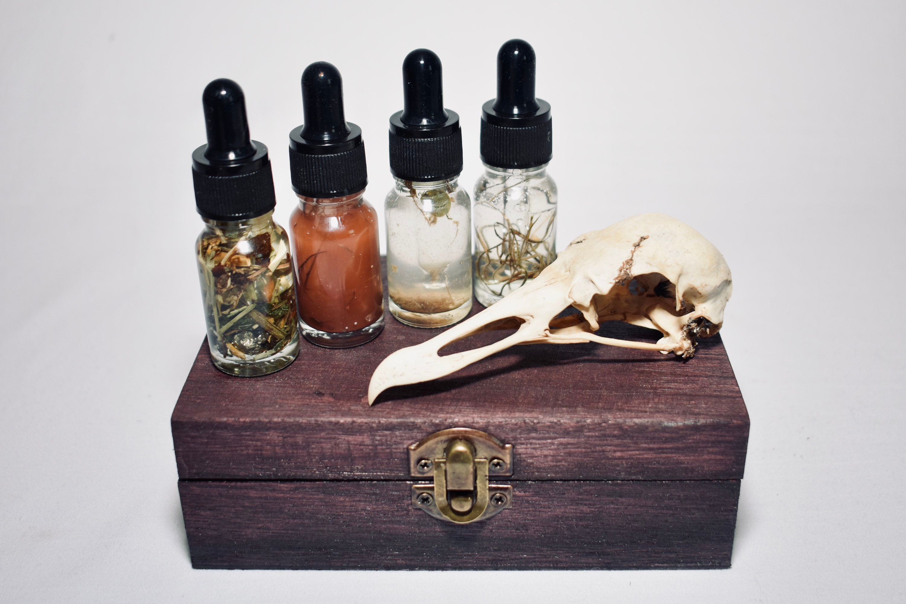 Bayou Witch Starter Set Swamp Witch Witch Set Occult Set | Etsy