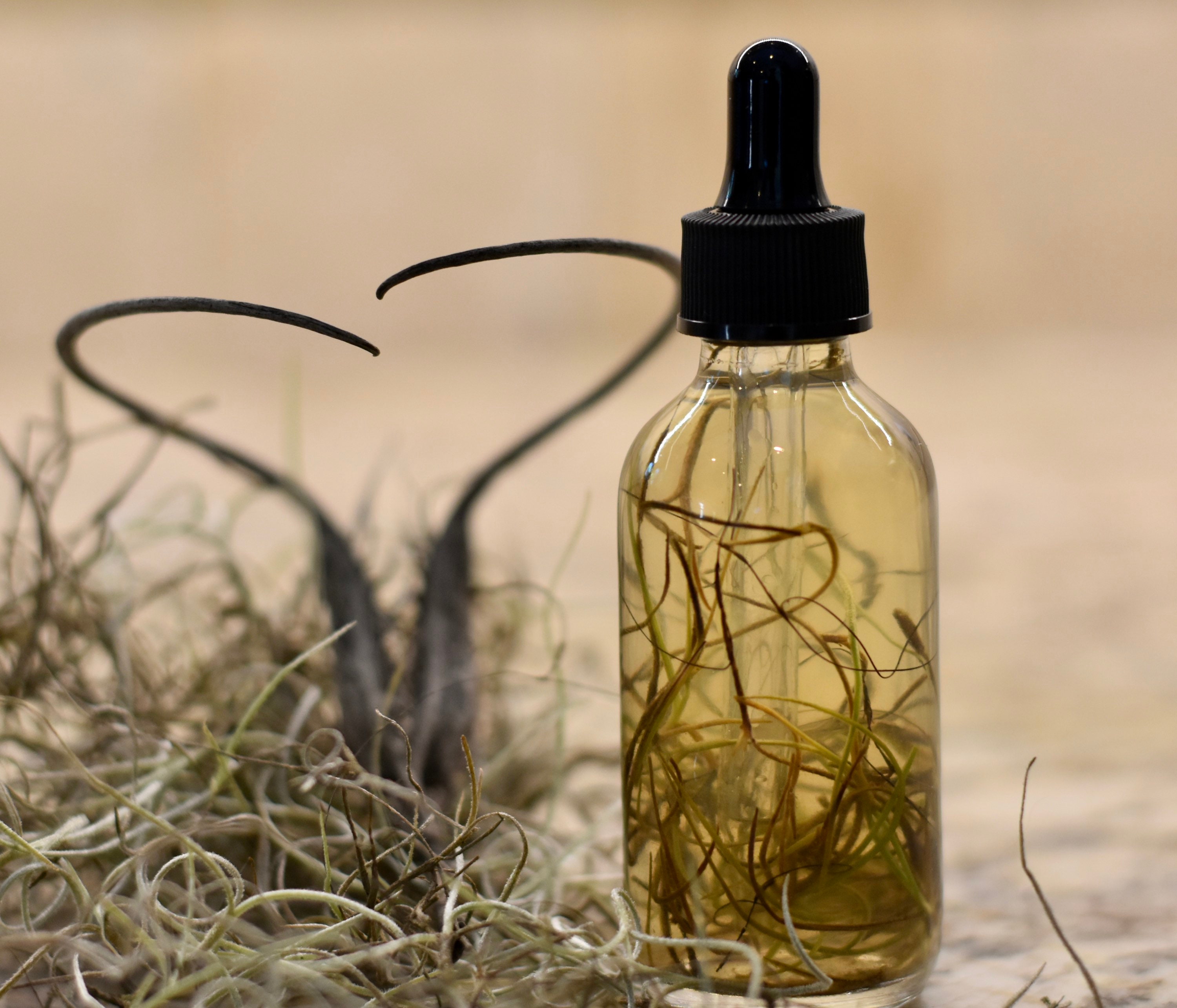 REAL Louisiana Tar Water New Orleans Tar Water Occult | Etsy