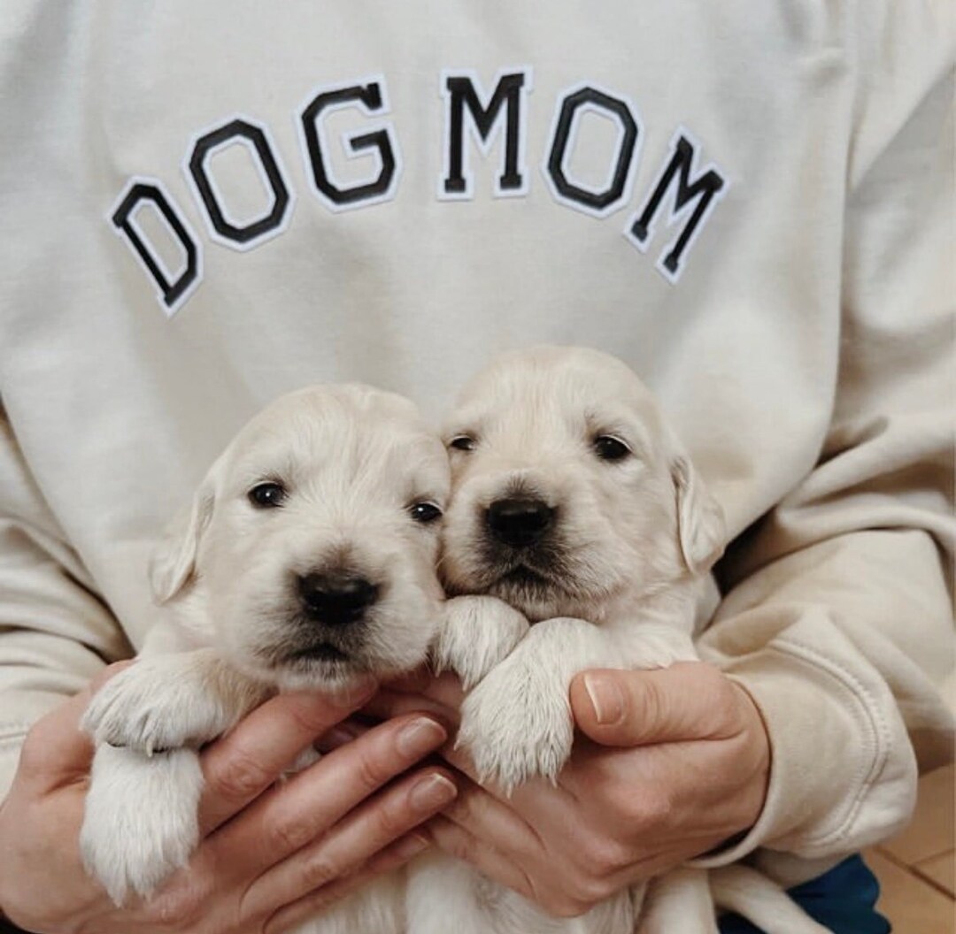 Dog Mom Sweatshirt | Dog Mom Crewneck | Dog Mama Sweatshirt | Vintage ...