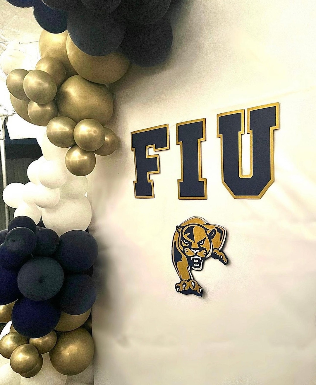 FIU Banner With Panther, FIU Letters, FIU Panther Banner, Panthers ...