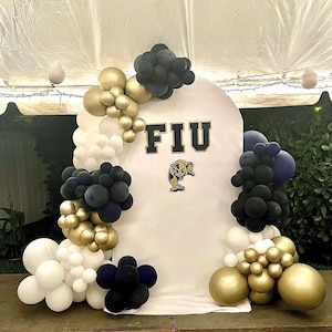 FIU Banner With Panther, FIU Letters, FIU Panther Banner, Panthers ...