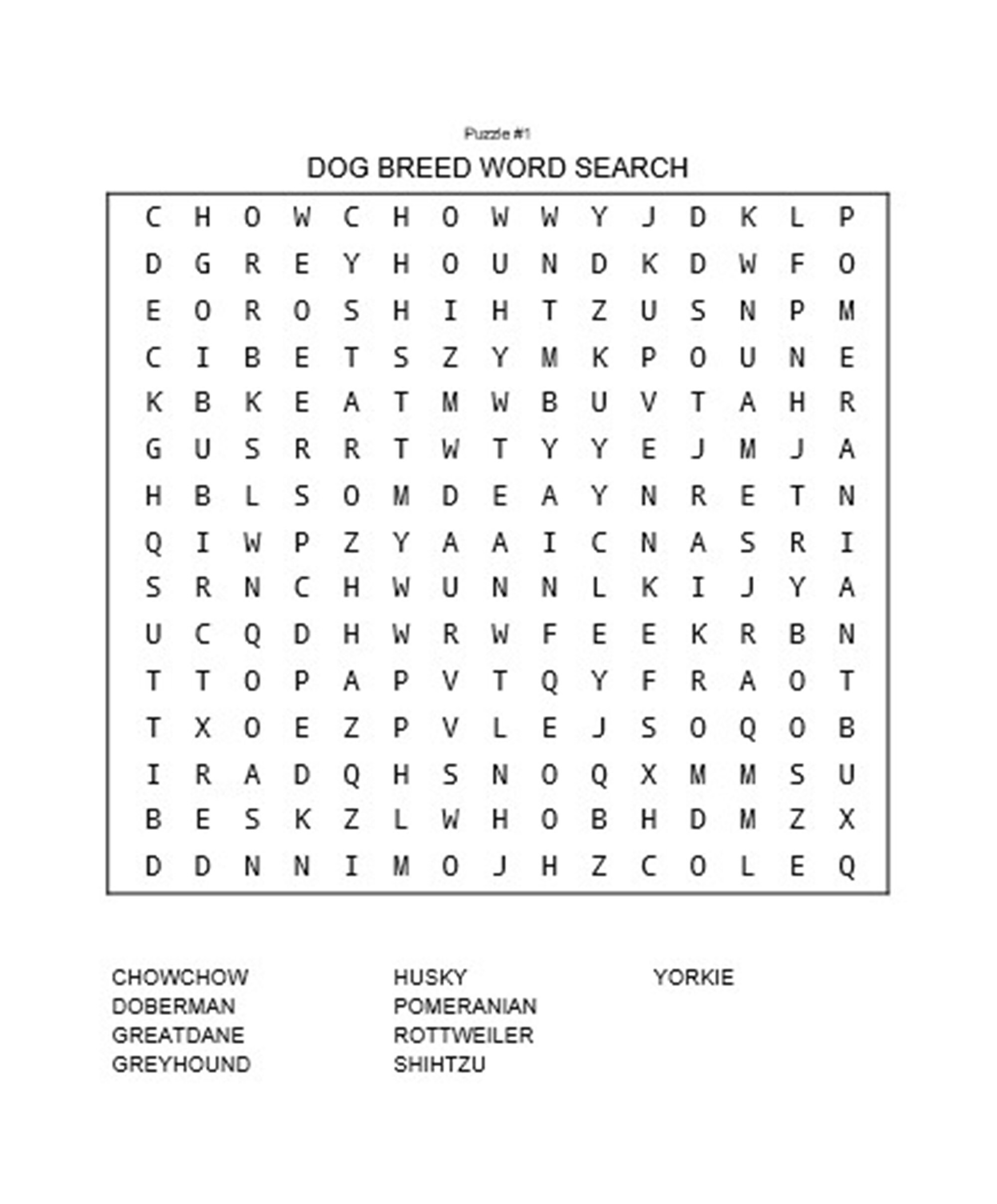 28 Large Print Dog Word Search Puzzles for Kids, Seniors & Adults | KDP ...