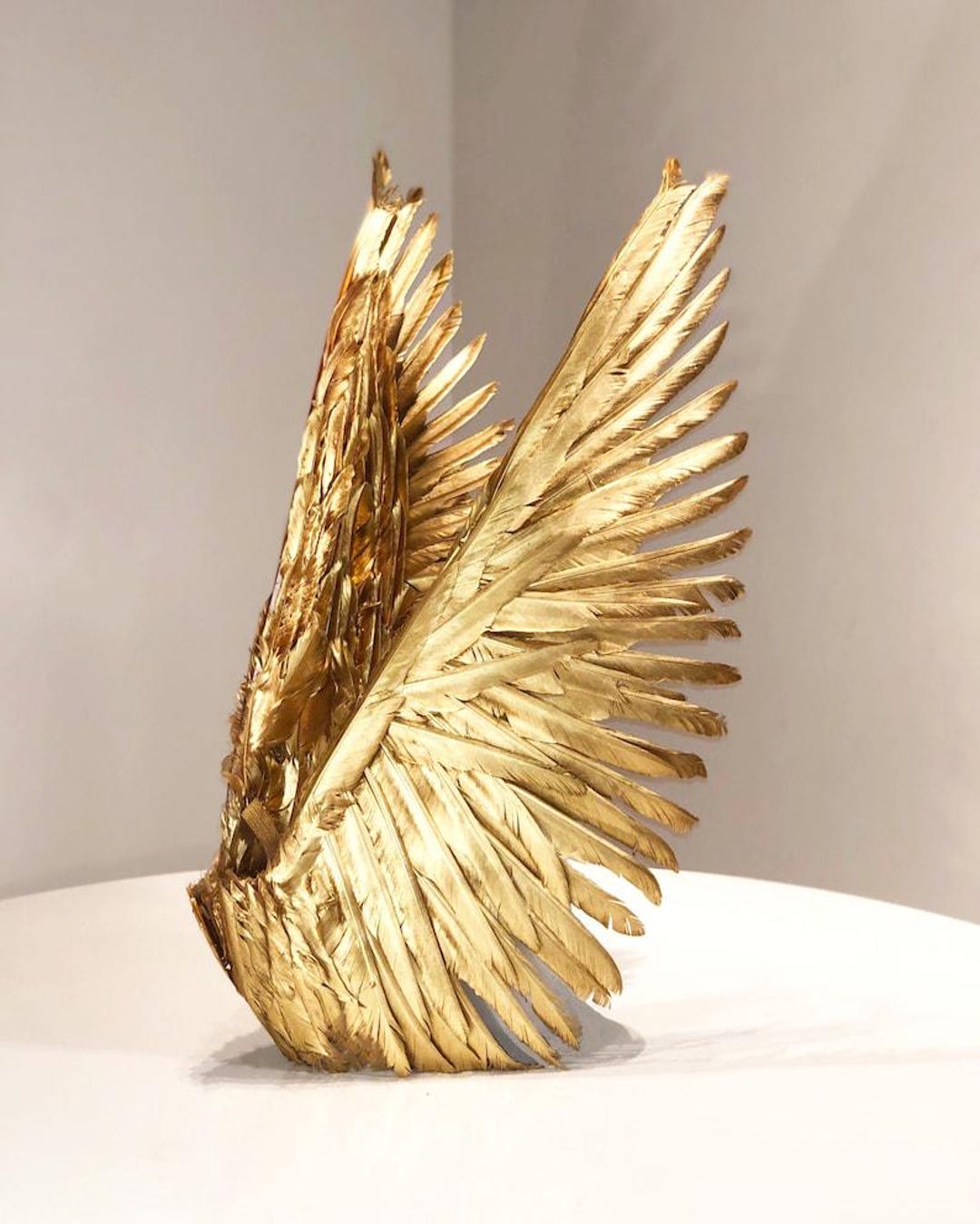 BIHBI X Saltburn Gold Angel Wings - Etsy