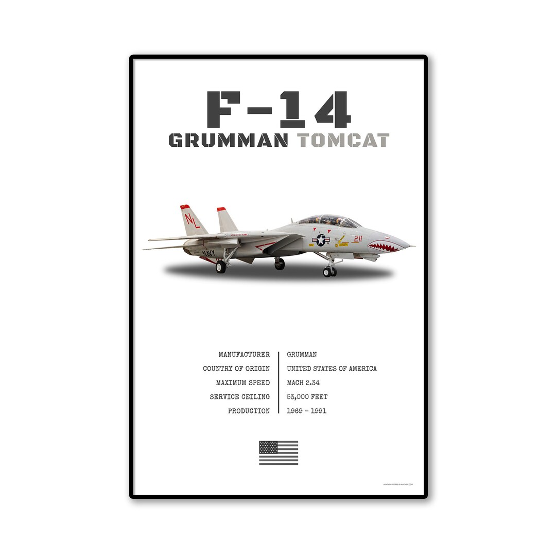 Grumman F-14 Tomcat Fleet Defence Interceptor. an Unframed Poster on ...