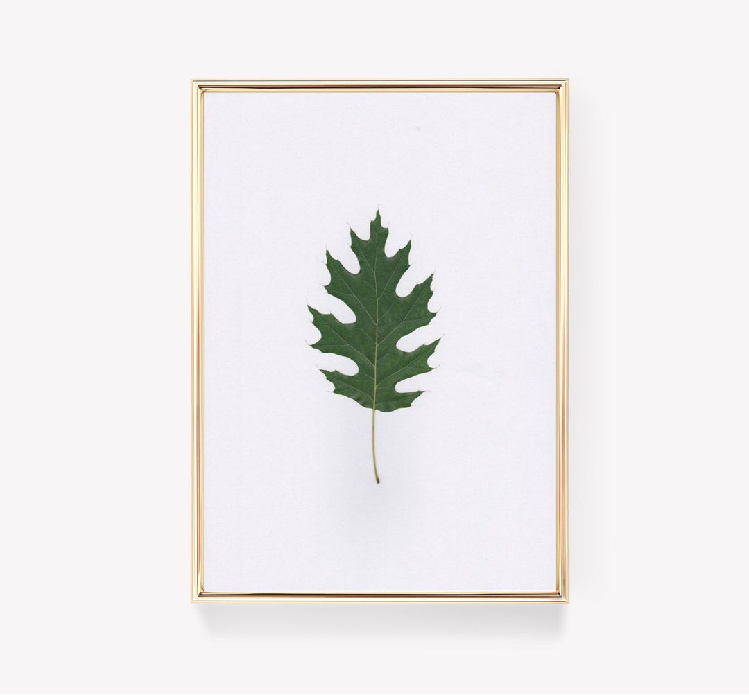 Oak Leaf Print | Nature Wall Art | Botanical Print | Leaf Illustration ...
