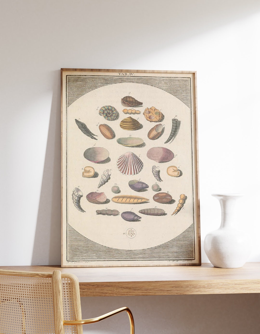 Marine Life Print | Ocean Art Print | Nautical Wall Decor | Nautical ...