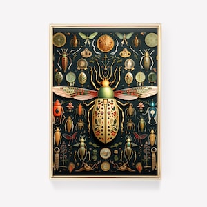 Beetle Art - Etsy