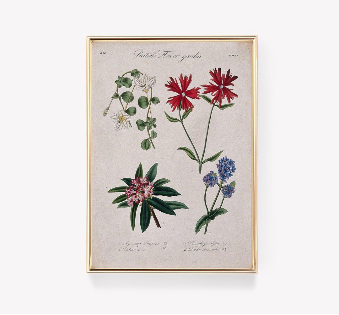 British Flower Garden Print | 1836 Floral Art | Vintage Botanical ...